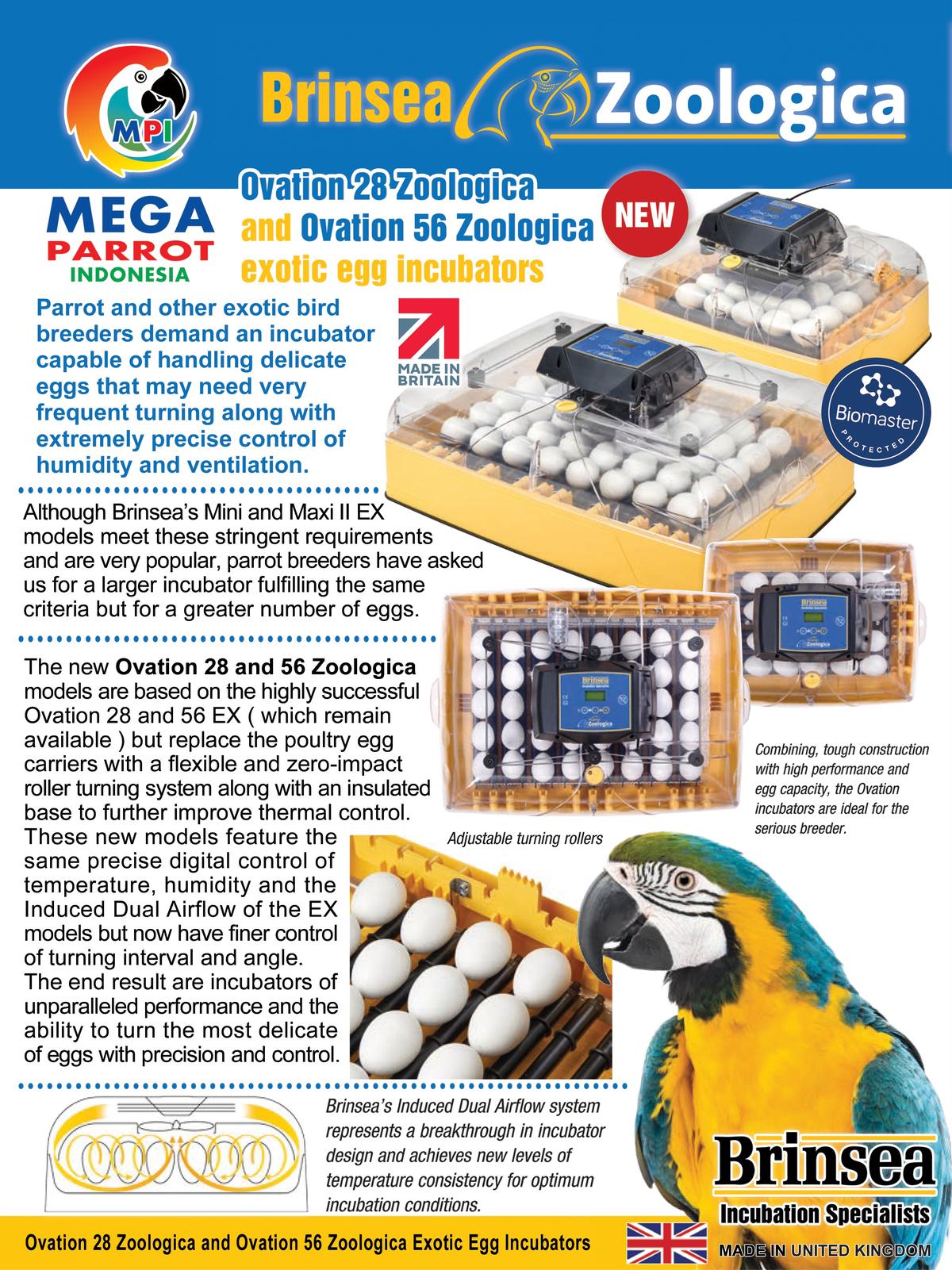 Toko Mega Parrot Indonesia Online - Produk Lengkap & Harga Terbaik ...