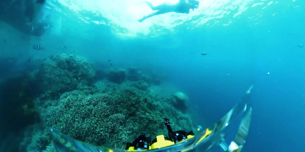 Toko Roshark Marine Online - Produk Lengkap & Harga Terbaik | Tokopedia