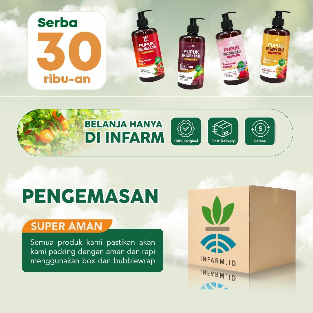 infarm - Produk Resmi & Terlengkap | GoPayLater Cicil 0% | Tokopedia