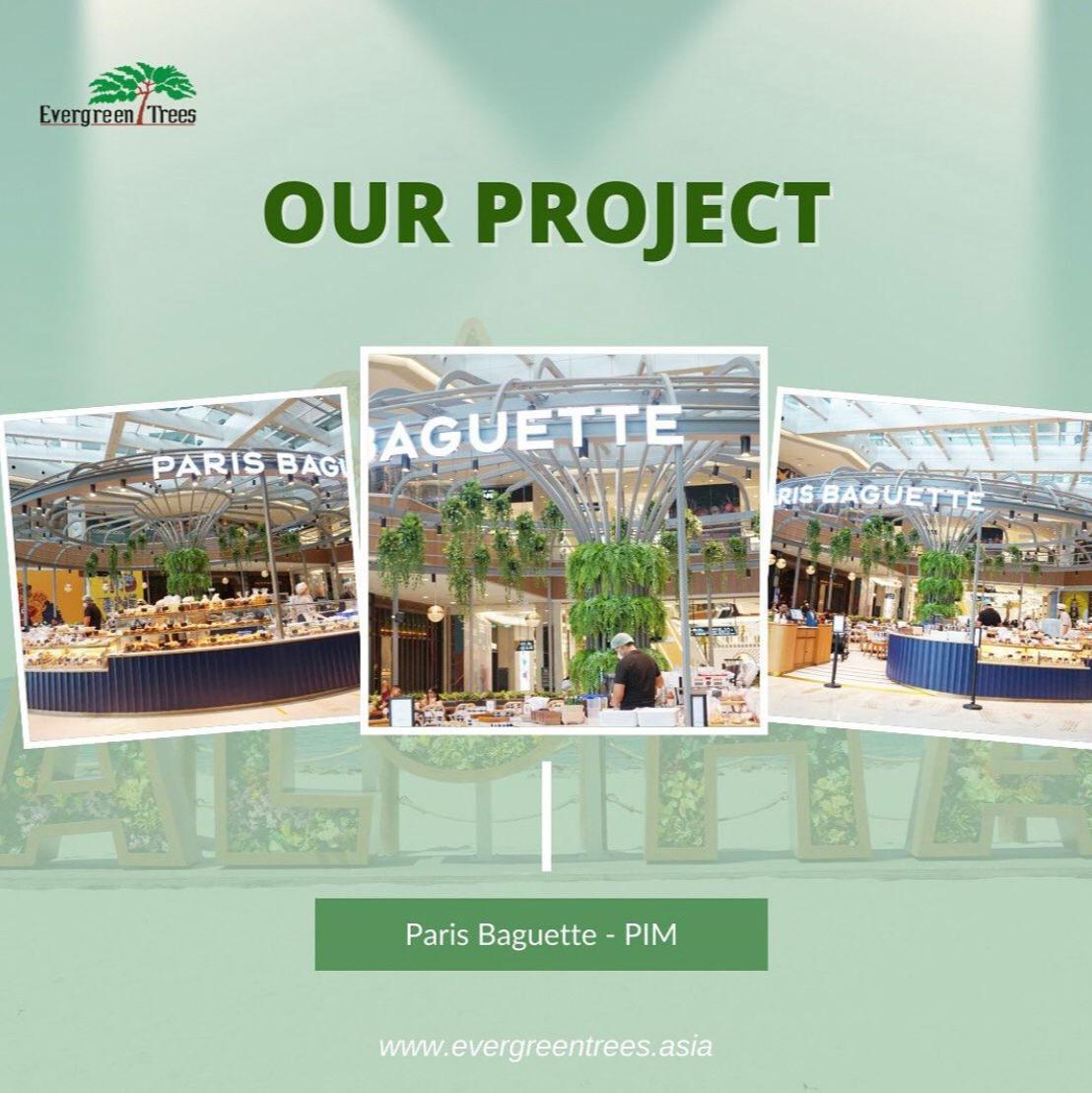 Toko Evergreen Trees Shop Online - Produk Lengkap & Harga Terbaik ...