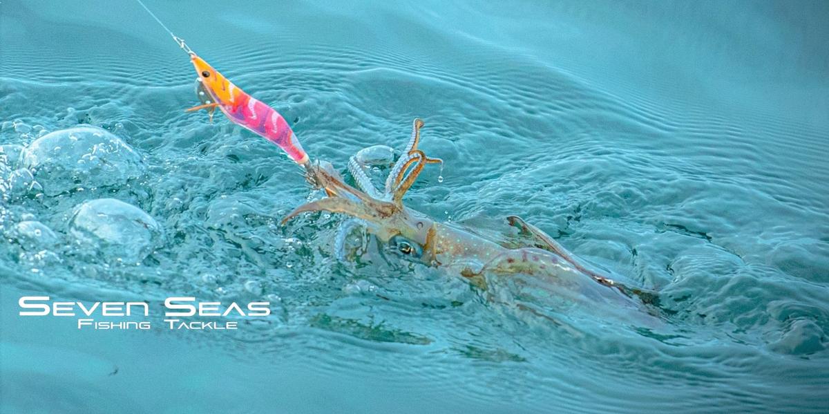 Toko Seven Seas Fishing Tackle Online - Produk Lengkap & Harga Terbaik ...