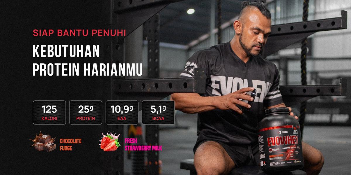 Evolene - Produk Resmi & Terlengkap | Tokopedia