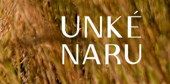 Toko Unke Naru Online - Produk Lengkap & Harga Terbaik | Tokopedia