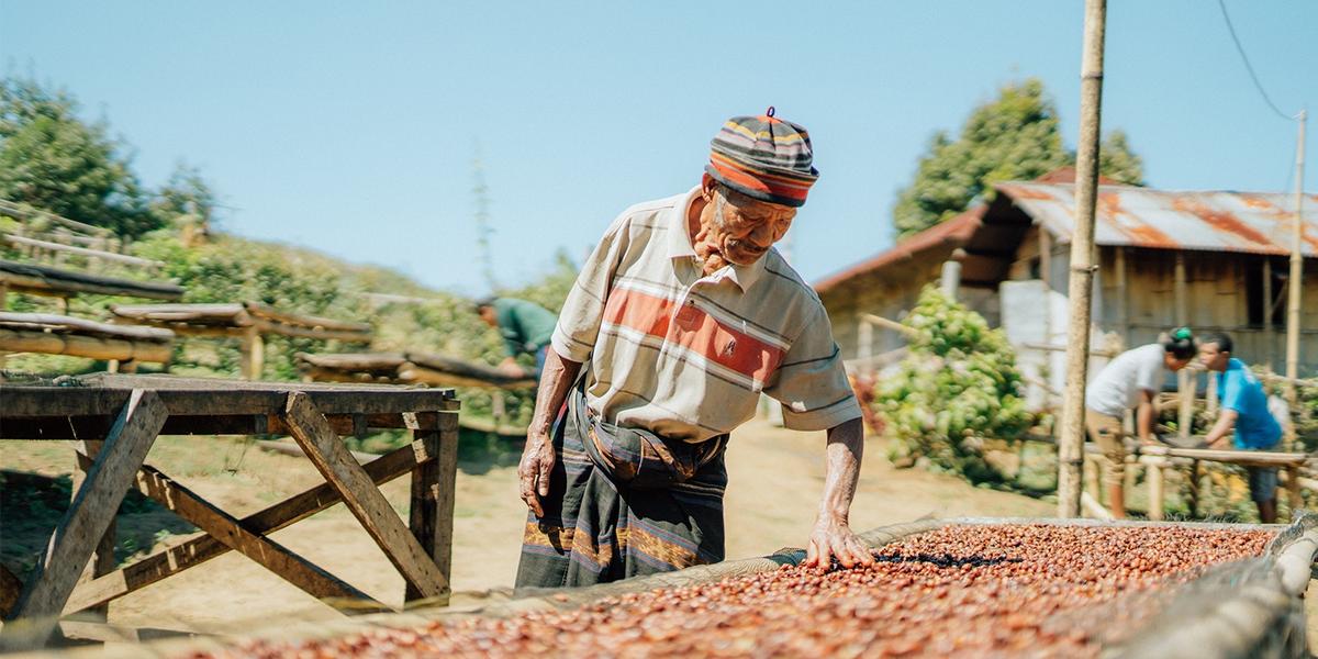 Toko Adena Coffee Online - Produk Lengkap & Harga Terbaik | Tokopedia