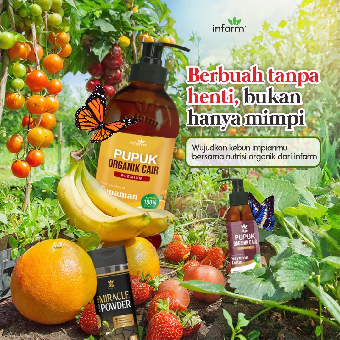 infarm - Produk Resmi & Terlengkap | GoPayLater Cicil 0% | Tokopedia