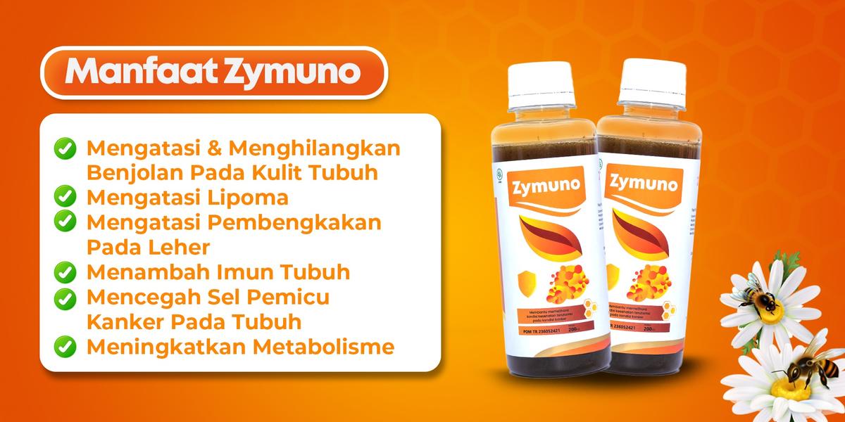 Zymuno Official Store - Produk Resmi & Terlengkap | GoPayLater Cicil 0% ...