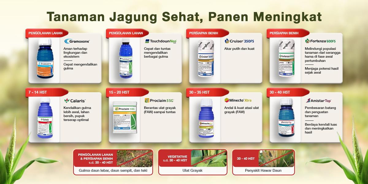 Syngenta Rumah Tani Indonesia - Produk Resmi & Terlengkap | GoPayLater ...