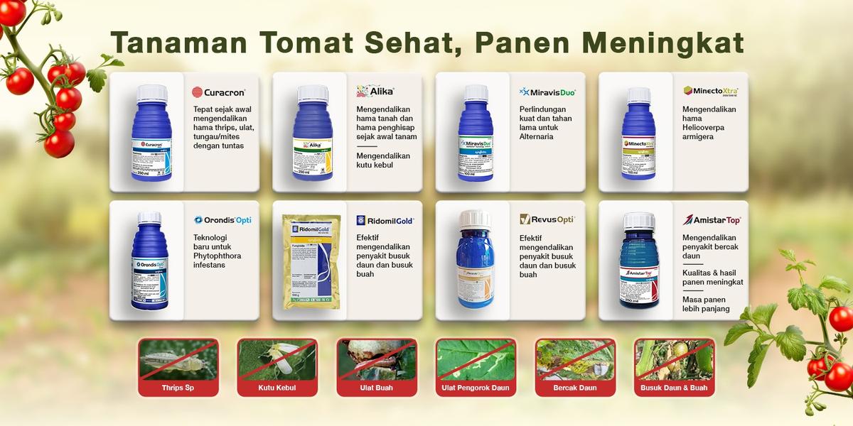 Syngenta Rumah Tani Indonesia - Produk Resmi & Terlengkap | GoPayLater Cicil 0% | Tokopedia