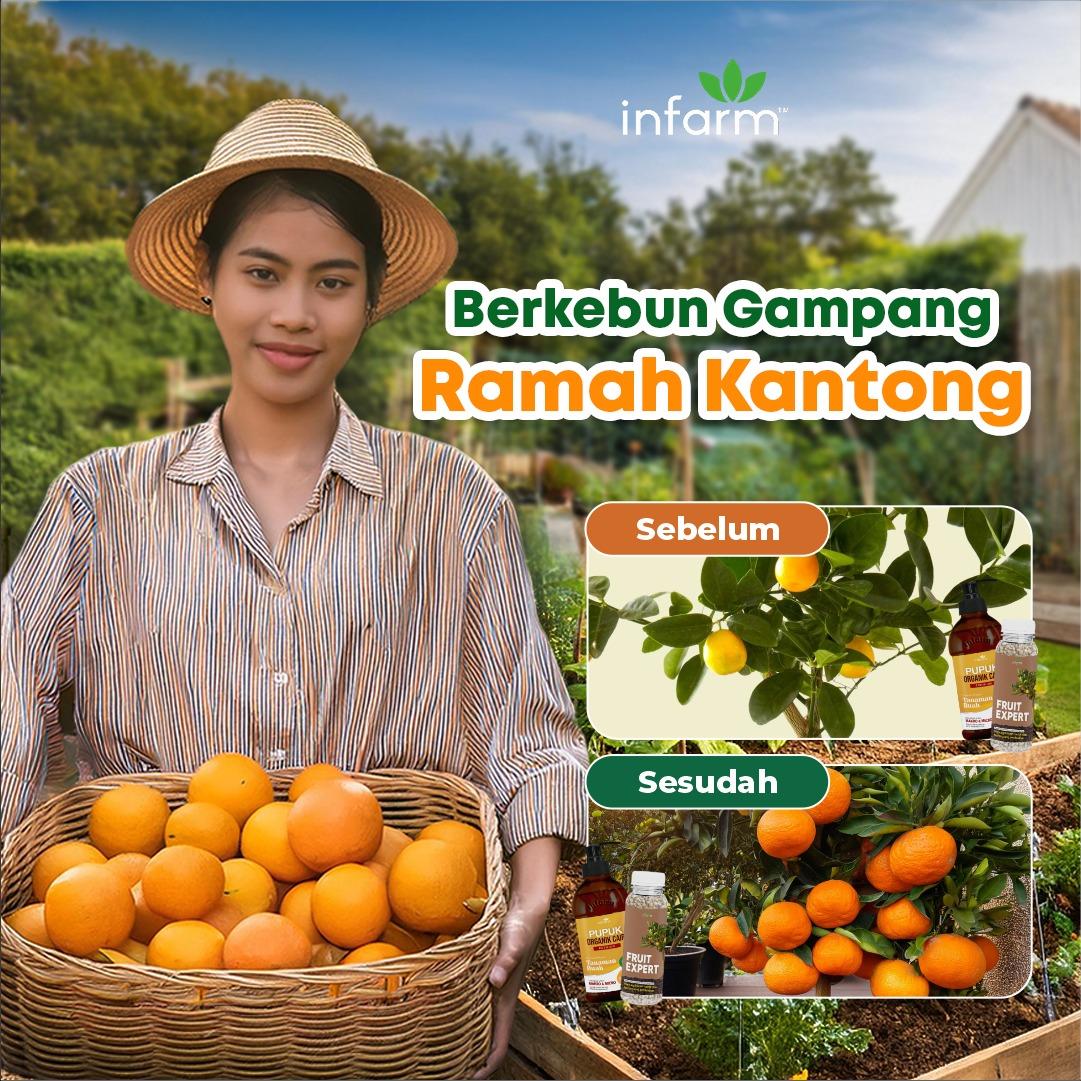 infarm - Produk Resmi & Terlengkap | GoPayLater Cicil 0% | Tokopedia