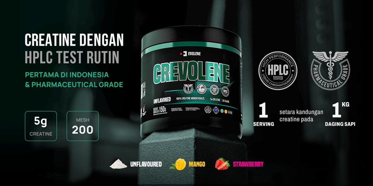 Evolene - Produk Resmi & Terlengkap | Tokopedia