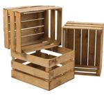 Jual Amaron Aki Mobil Honda BRV NS40ZL / 42B20L Hi-Life 12V 35Ah ...