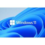 Jual WINDOWS 11 PRO or HOME LICENSE ORIGINAL - W11 HOME - Jakarta Timur ...