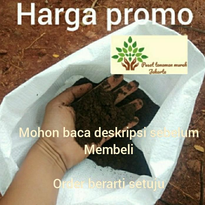 Humus Tanah