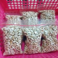 Kuaci yang Gurih & Renyah Agustus 2025