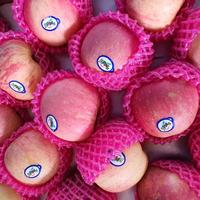 Jual Apel Fuji Rrc Murah - Harga Terbaru 2021