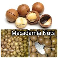 Kacang Macadamia Harga Termurah - Pilihan Favorit