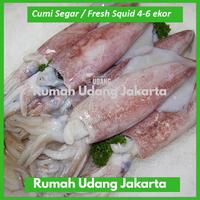 Jual Cumi Segar 1 Kg Terdekat - Harga Murah & Grosir Januari 2025