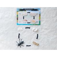 Review Life Cycle of an Ant - Siklus Hidup Semut Figurine& velcro ...