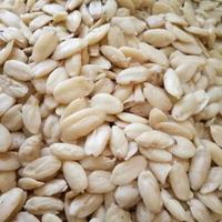 Jual Kacang Kenari 1Kg Terdekat - Harga Murah & Grosir April 2024