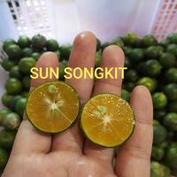Jual Jeruk 1kg Murah - Harga Terbaru 2024