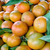 Jual Jeruk Medan Super Terdekat - Harga Murah & Grosir Februari 2025