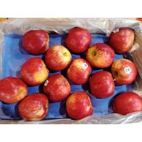 Jual Apel Envy Terdekat - Harga Murah & Grosir Mei 2024