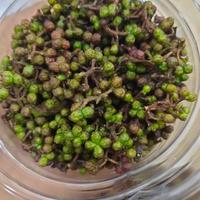 Jual Andaliman Terdekat - Harga Murah & Grosir Juli 2025