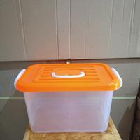 Jual Box Container 10 Liter Murah - Harga Terbaru 2021