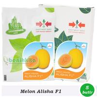 Jual Bibit Melon Terbaik - Harga Murah Maret 2024 & Cicil 0%