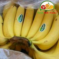 Pisang Cavendish Harga Termurah - Pilihan Favorit