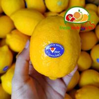 Jual Lemon 1 Kg Terdekat - Harga Murah & Grosir Juni 2024