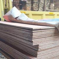 Jual Triplek 12Mm Terbaik - Harga Murah Mei 2025 & Cicil 0%