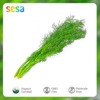 Jual Daun Dill Terdekat - Harga Murah & Grosir April 2024