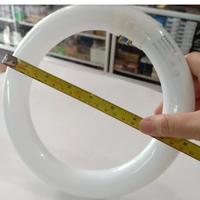 Jual Lampu Neon Bulat Terbaik - Harga Murah Mei 2024 & Cicil 0%