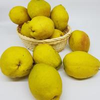 Jual Pear Xiang Lie Murah - Harga Terbaru 2024