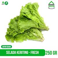 Jual Selada Bokor Terdekat - Harga Murah & Grosir April 2024