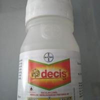 Jual Decis Murah & Terbaik - Harga Terbaru Mei 2025