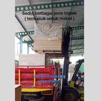 Jual Triplek 8Mm Terbaik - Harga Murah Mei 2025 & Cicil 0%