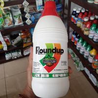 Jual Roundup 1 Liter Murah & Terbaik - Harga Terbaru April 2025