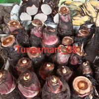 Jual Ubi Talas Terdekat - Harga Murah & Grosir April 2025