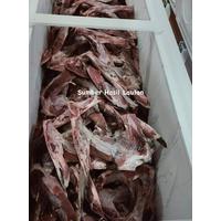 Jual Rahang Tuna Terdekat - Harga Murah & Grosir Mei 2024
