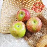 Jual Apel Malang Terdekat - Harga Murah & Grosir April 2024