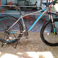 Polygon Xtrada 5 Terbaik & Terbaru Mei 2024 - Harga Murah