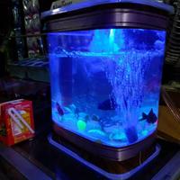 Aquarium Mini Lengkap Terbaik & Terbaru Juni 2024 - Harga Murah