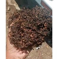 Jual Bako 1Kg Terdekat - Harga Murah & Grosir April 2024