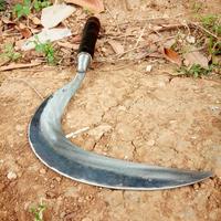 Jual Arit Rumput Terbaik - Harga Murah Februari 2024 & Cicil 0%