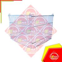 Jual Kelinci Lokal Terbaik & Terbaru Maret 2025 - Harga Murah