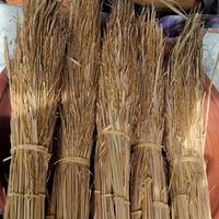 Jual Merang Padi Murah - Harga Terbaru 2021