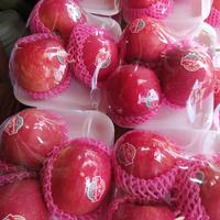 Apel Fuji Harga Termurah - Pilihan Favorit