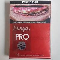 Surya Pro Merah Harga Termurah - Kualitas Terbaik